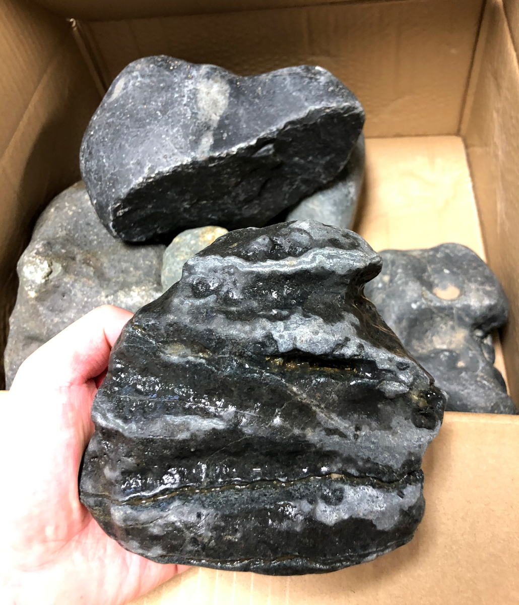 Aquascape Hardscape: Hakkai Stone - Mushi Gui Stone – Aquascape Supply