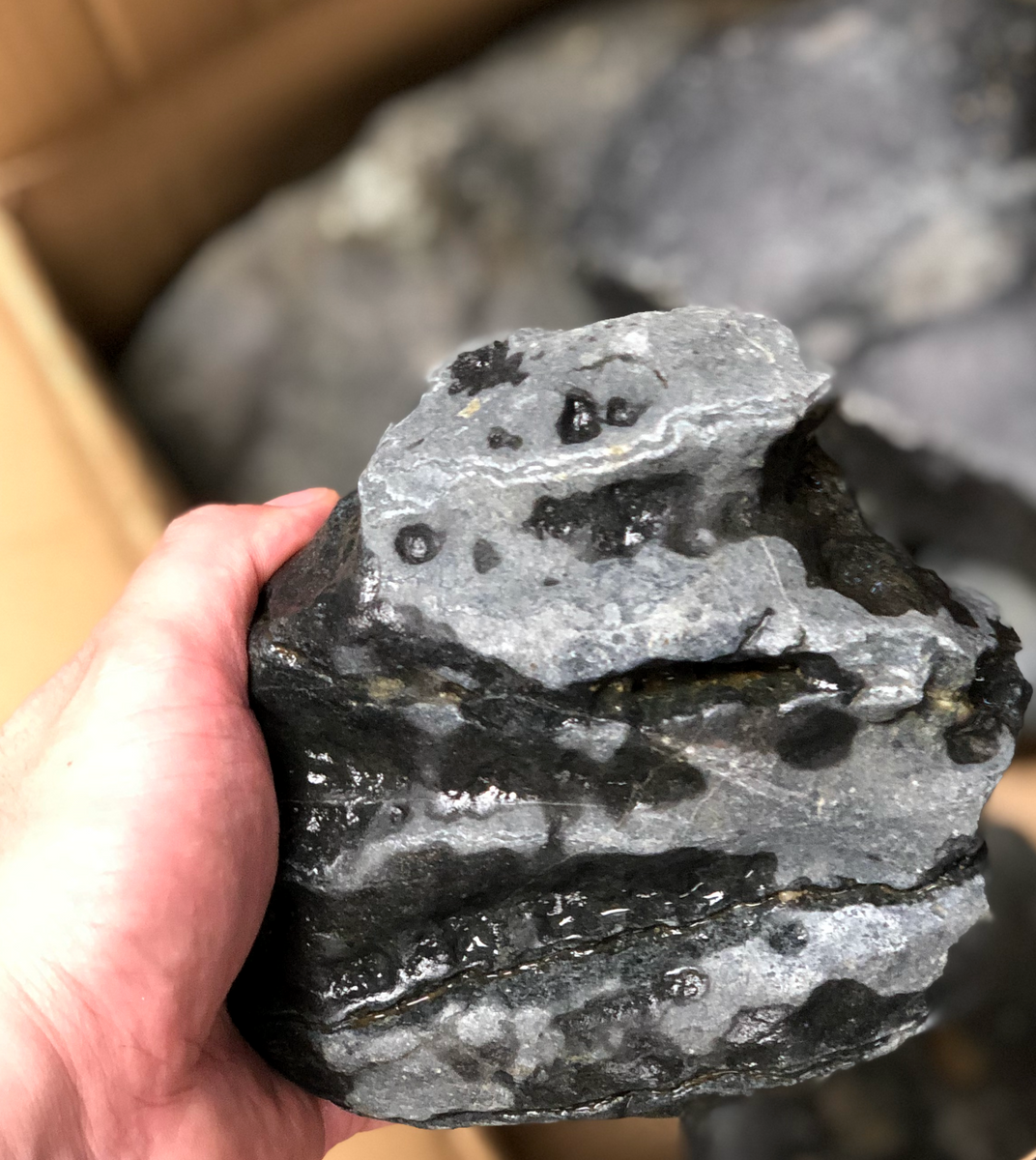 Aquascape Hardscape: Hakkai Stone - Mushi Gui Stone – Aquascape Supply